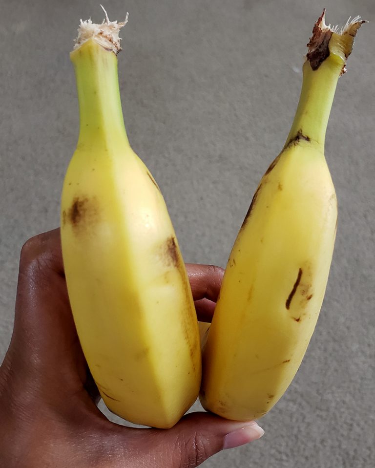 How to draw a banana (Simply fruity fun 2025)