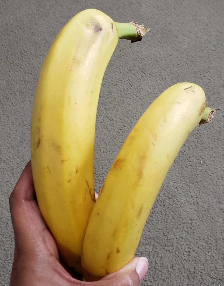 How to draw a banana (Simply fruity fun 2025)