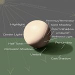 Light and Shadow in Art - The Fundamentals of Light, Part 1: The ...