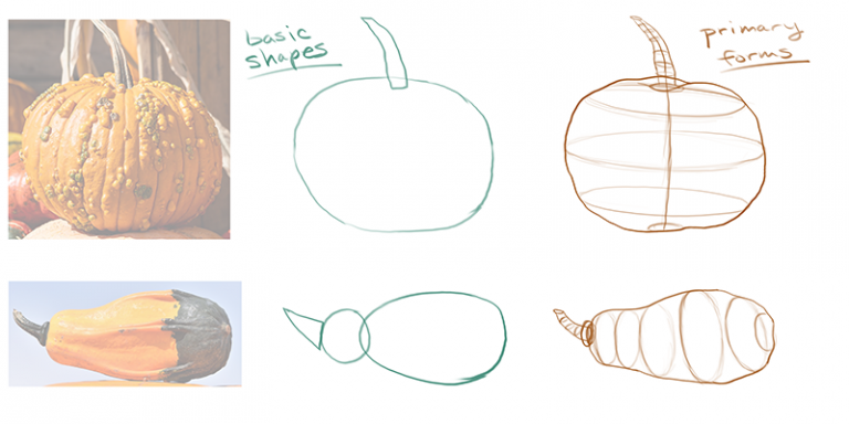 How to draw a pumpkin: A full and balanced tutorial for 2025